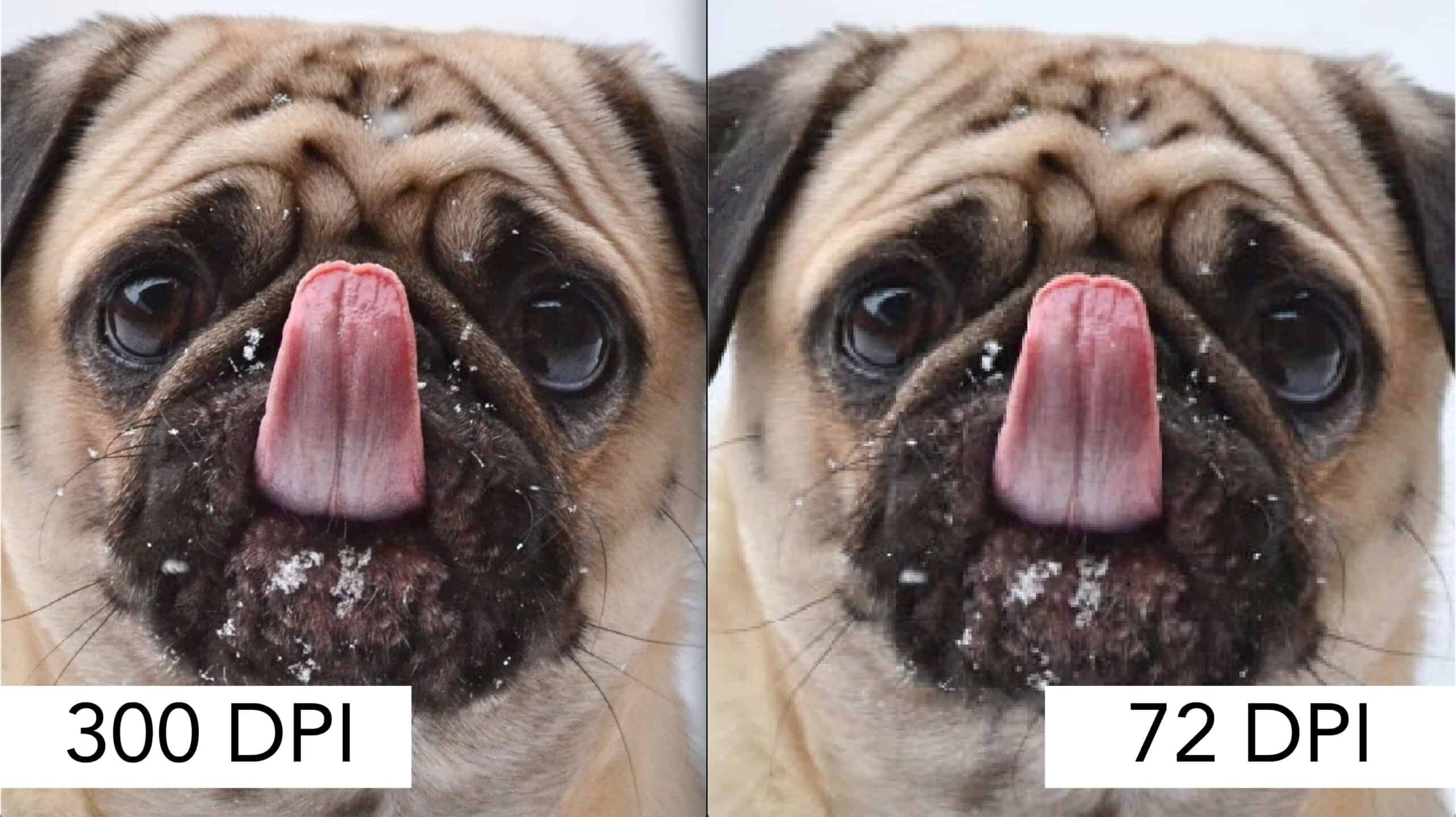 How To Get The Perfect Print Resolution Replica Printing
